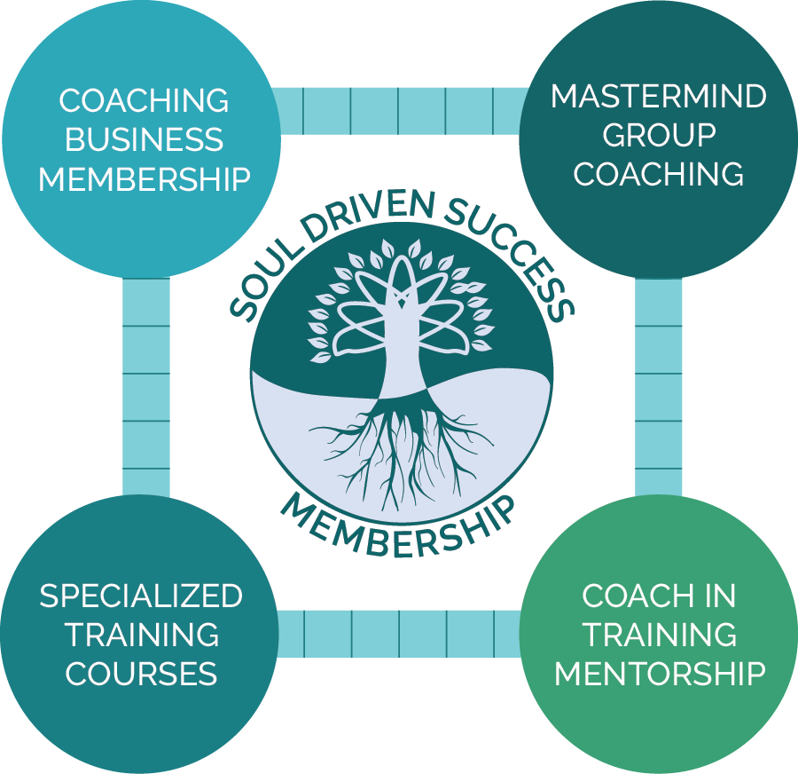 Soul Driven Success - Business Academy for Professional Coaches