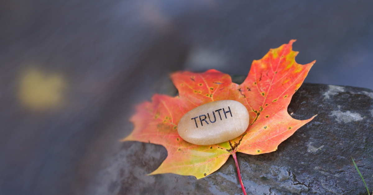 The Vulnerable Truth - Soul Driven Success